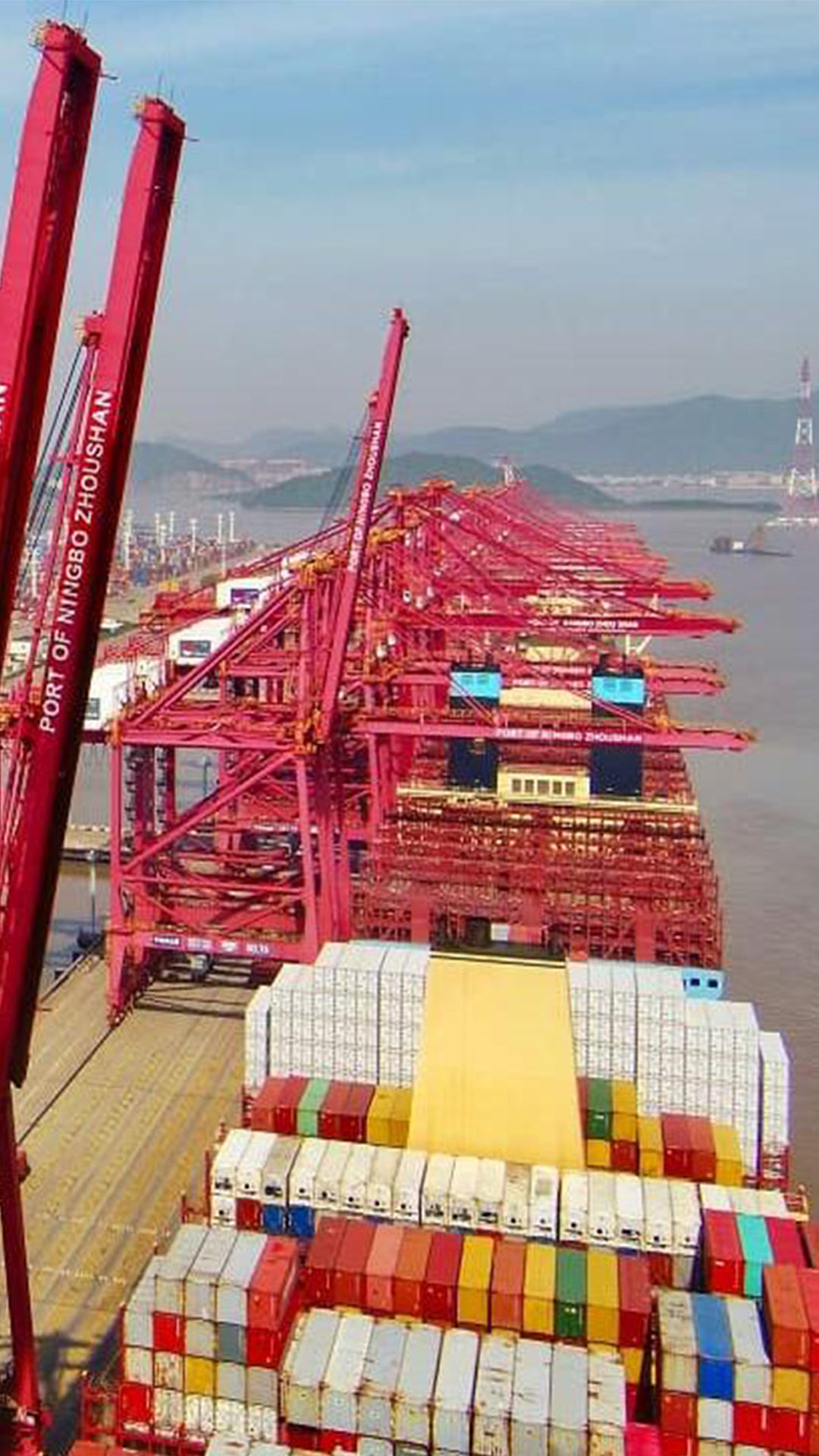 Container shipping schedule reliability improves to 64.4%